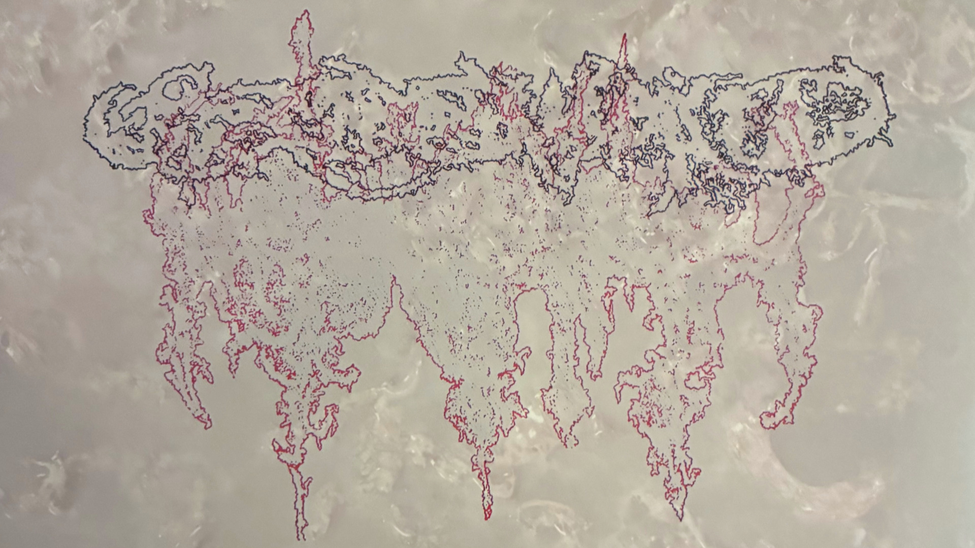 New Records added in the Praxis Store December 2025 - Praxis
